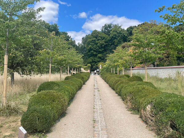 arboretum de la Vallée-aux-Loups 92290 Châtenay-Malabry